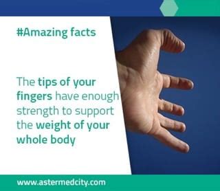 Amazing Facts About Human Body Ppt