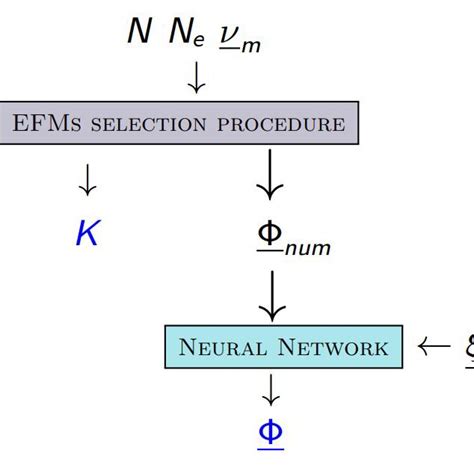 Hybrid Modeling Using An Elementary Flux Mode Reduction Procedure And Download Scientific