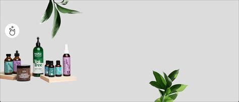 Degrease Shampoo For Oily Hair Care Clarifying Shampoo