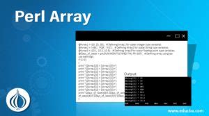 Perl Array Top Types Of Array In Perl With Advantages