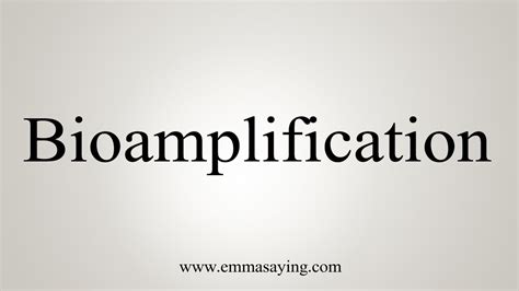 How To Say Bioamplification Youtube