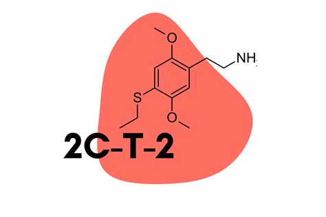 2c B Fly Is It The Best Psychedelic For Arousal And Sexual Intimacy