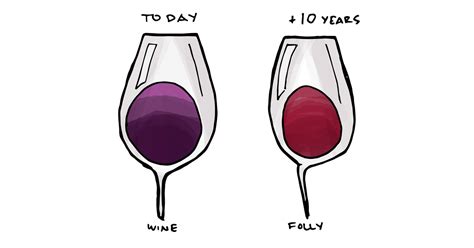 12 Fascinating Health Facts About Red Wine Wine Folly