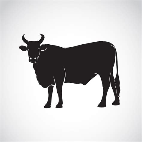 Vector De La Imagen De Una Vaca Sobre Fondo Blanco Vector Premium