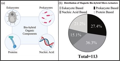 Classification Of Magnetic Microactuators A Biological Material Used Download Scientific
