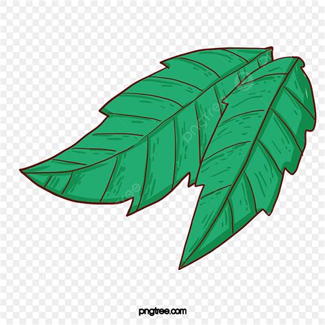 Outline Leaf Clipart Png Images Green Leaf Outline Element Blade Of