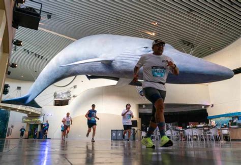 Runners Walkers Kick Off Marathon Weekend With Aquarium Of The Pacific