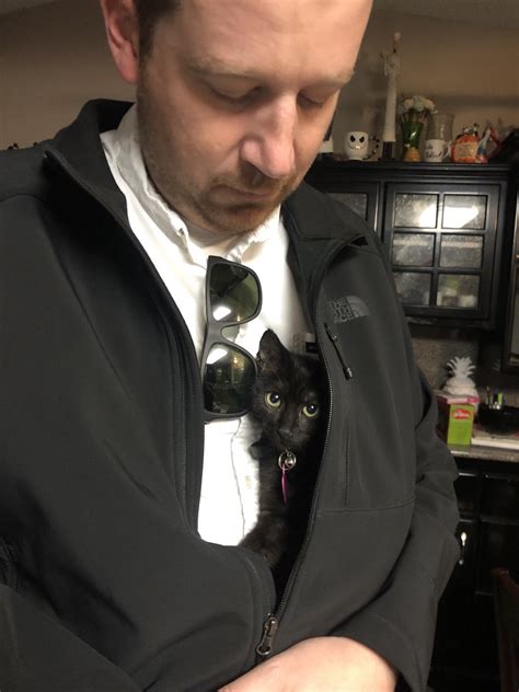 Before My Cake Day Ends Lil Binx In A Jacket R Aww