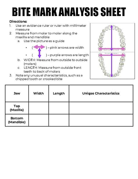 Bite Mark Analysis Lab Hands On Forensic Science Activity Tpt