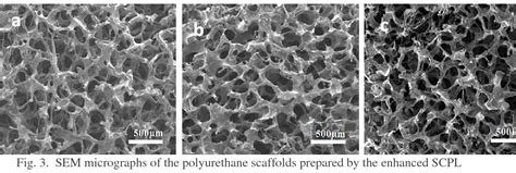 Figure 3 From Polyurethane Pu Scaffolds Prepared By Solvent Casting