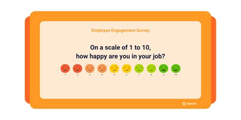 5 1 Email Survey Tools That Are Essential To Know