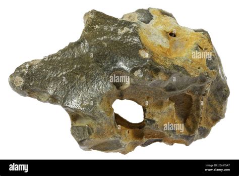 Adder Stone From Heligoland Germany Isolated On White Background Stock