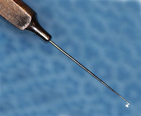 Kuglen Hook The University Of Iowa Ophthalmology