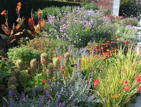 Massif Au Soleil Qui Fleurit Toute Lannée