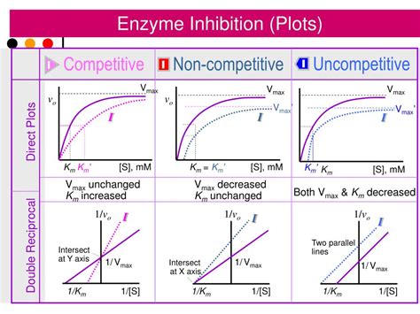Ppt How Enzymes Work Powerpoint Presentation Free Download Id6954410