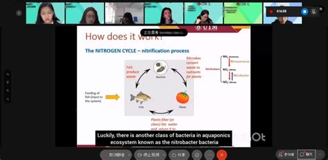 Virtual Utm Summer School Ss14 Accelerating Green Development In Asia