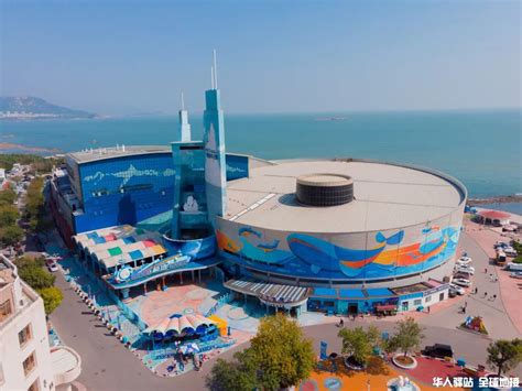 海洋研学去哪里？青岛极地海洋世界研学基地 青岛研学旅行社[青岛研学动态]