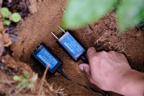 Leping Social Entrepreneur Foundation