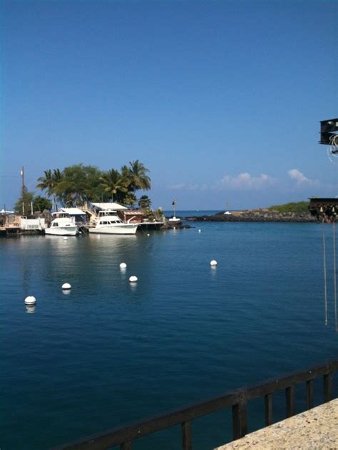 Captain Dan Mcsweeneys Whale Watch Honokohau Hbr Kalaeloa Hi Mapquest