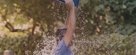 中国难治疾病ips细胞模型库 艾尔普再生医学