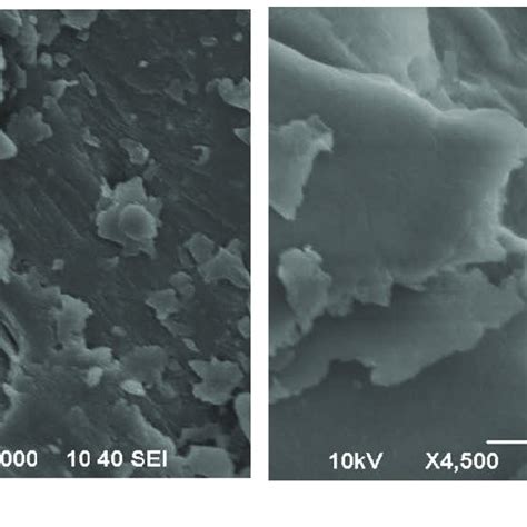 Scanning Electron Microscopy Sem Of Raw Soybean Hulls A And