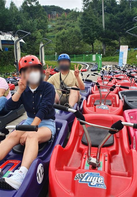 평창루지 평창 여행의 끝과 시작은 신나는 평창루지랜드와 함께 네이버 블로그