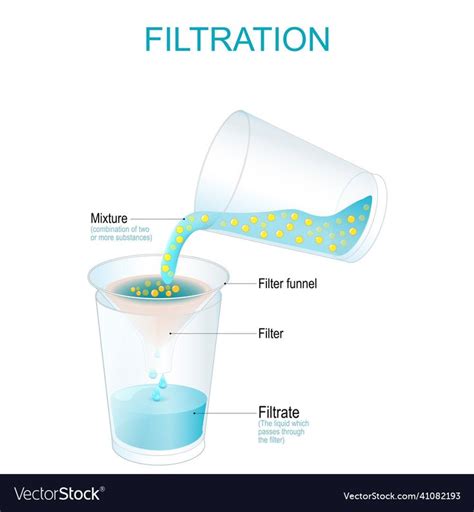 Filtration Physical Experiment Separation Vector Image On Vectorstock