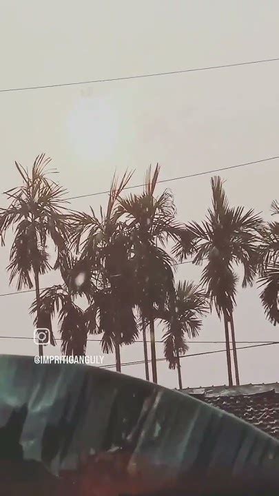 ওহ আগে কত বৃষ্টি যে দেখেছি শ্রাবণে।। Romanticweather Like Subscribe Love Romantic