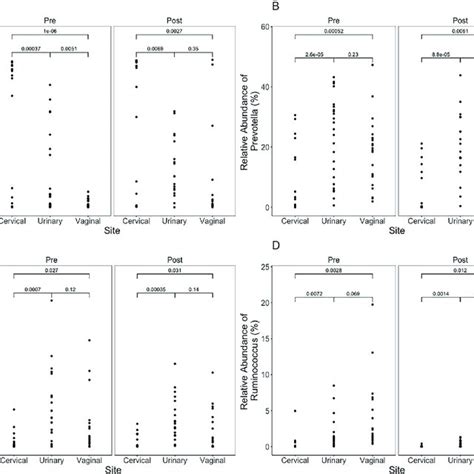 Relative Abundance Percentage Between Regions Of The Female Download Scientific Diagram