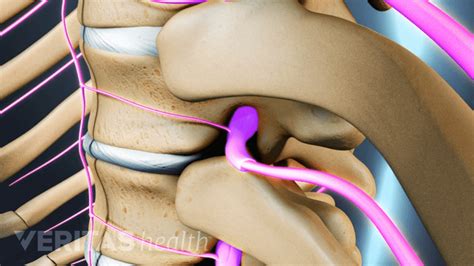 Thoracic Nerves