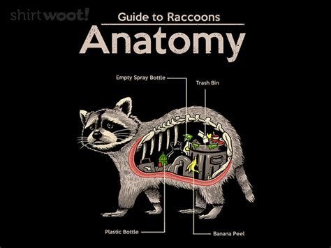 Raccoon Skeleton Diagram