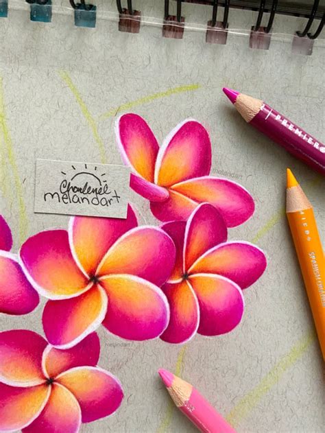 160 Aesthetic Art Ideas Aesthetic Art Color Pencil Drawing Color