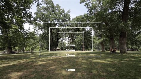 What Is Field Of View In Photography At Clarence Sneed Blog