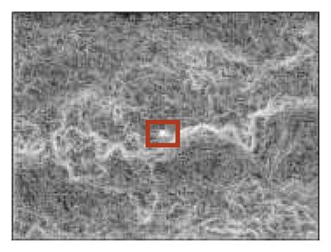 Background Suppression Maps Of Different Methods A Infrared Original