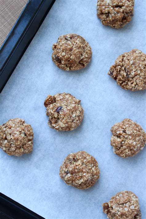 Chewy Vegan Oatmeal Date Cookies