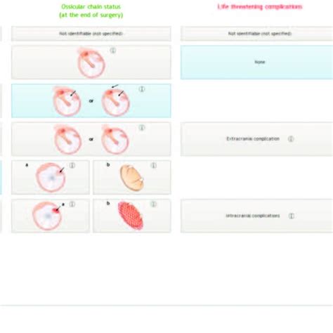 Summary Of Chole Classification And Staging An Example Of Extensive
