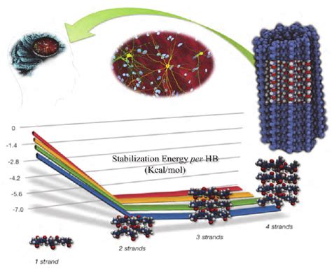 Cooperative Effect Calculated As Stabilization Energy Per H Bond