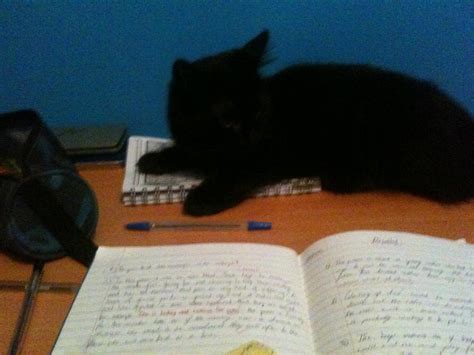 The Reason Why Homework Is So Difficult By Soularwolf4 On Deviantart