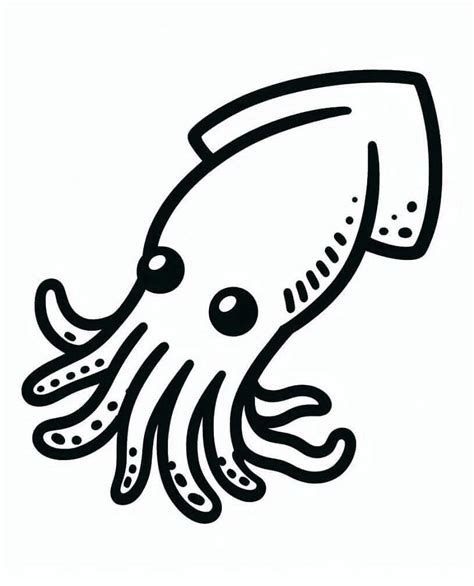 Squid Coloring Pages Coloringlib