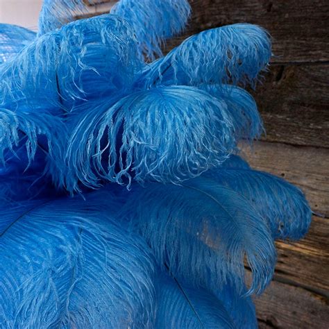 Large Ostrich Feathers 17 Drabs Sky By Zucker
