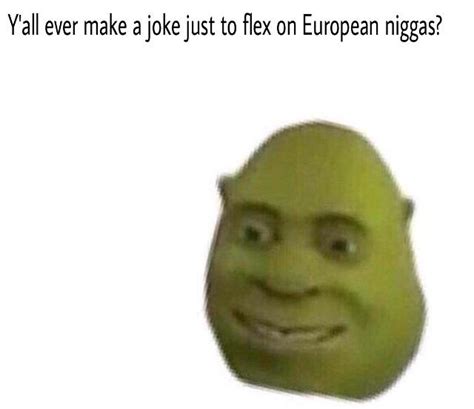 S I E G H E I L 👋 R Dankmemes