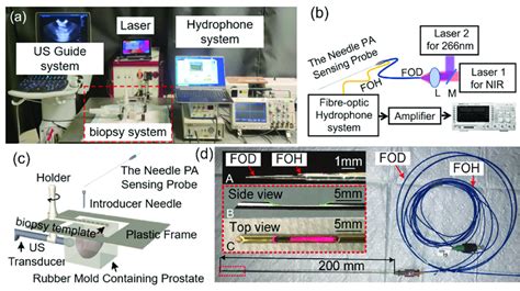 Prostate Cancer Detection Using An Interstitial Pa Measurement Device