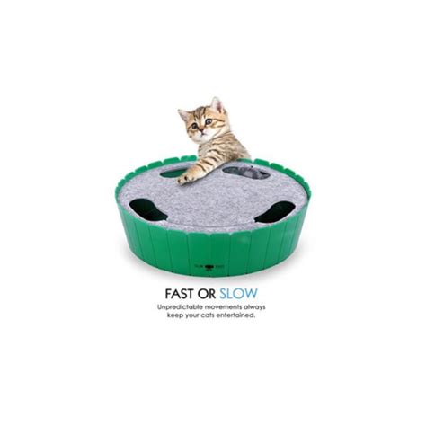 Chase Mouse Hunt Cat Toy