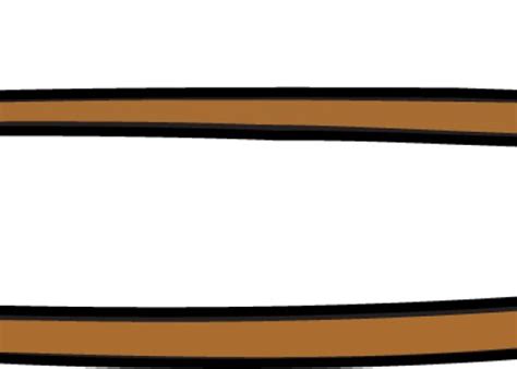 Ascaris Lumbricoides Roundworm Pig Preserved Pkg Of 10