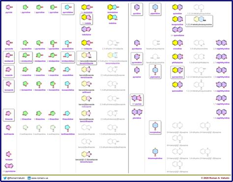 Fundamental Nitrogen Heterocycles Cheminfographic