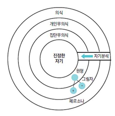 칼 융 분석심리학 그림자