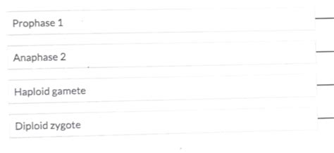 Biology Exam 4 Flashcards Quizlet