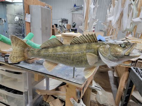 295 Walleye Fish Mount Replica Wl11r