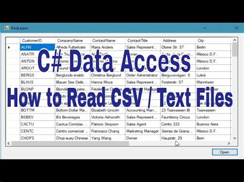 Data Access Text File In C