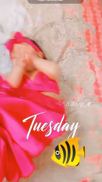 My Princess Pihu2 Youtube